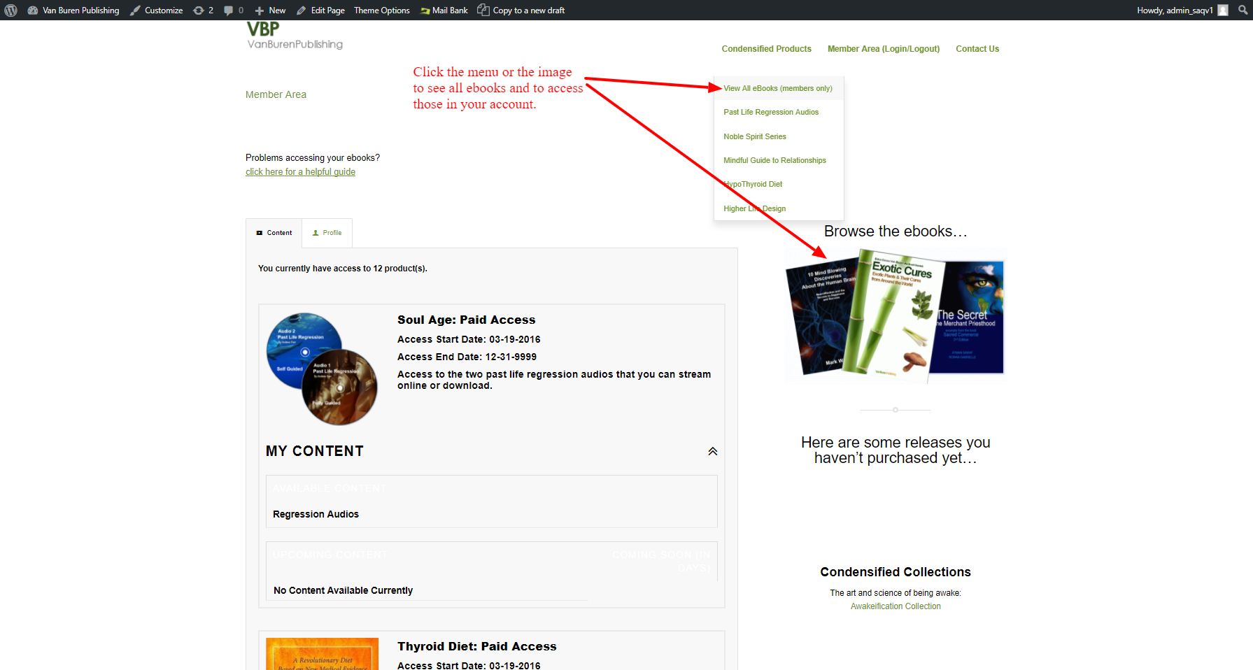 Accessing Your Ebooks (2 Ways) – Van Buren Publishing